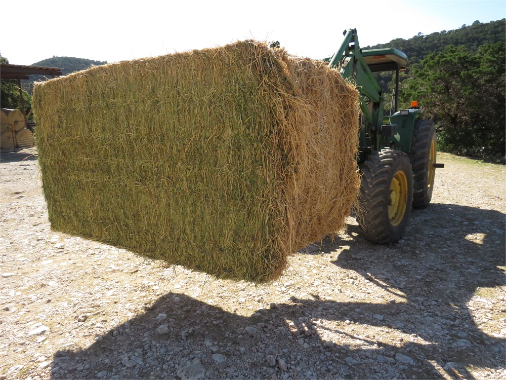 WildLife Buyer, LLC. - ALFALFA BIG SQUARE BALES