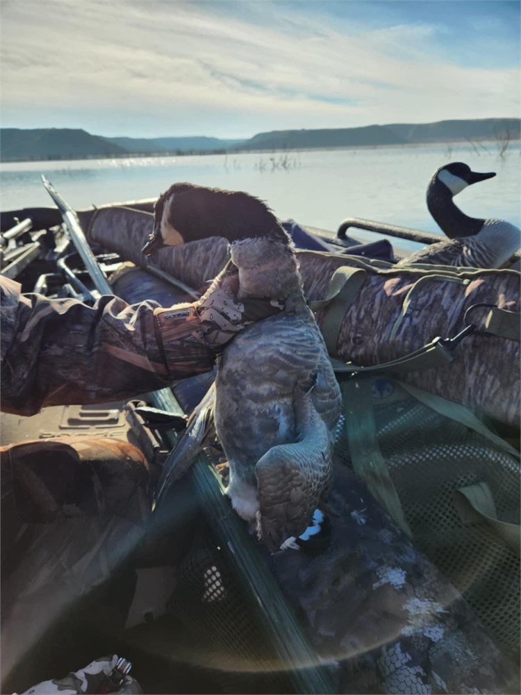 WildLife Buyer, LLC. - *Reduced Price! Texas Panhandle Waterfowl/Upland ...