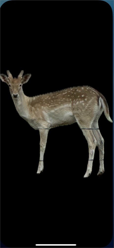 WildLife Buyer, LLC. - 1.0 Fallow NR