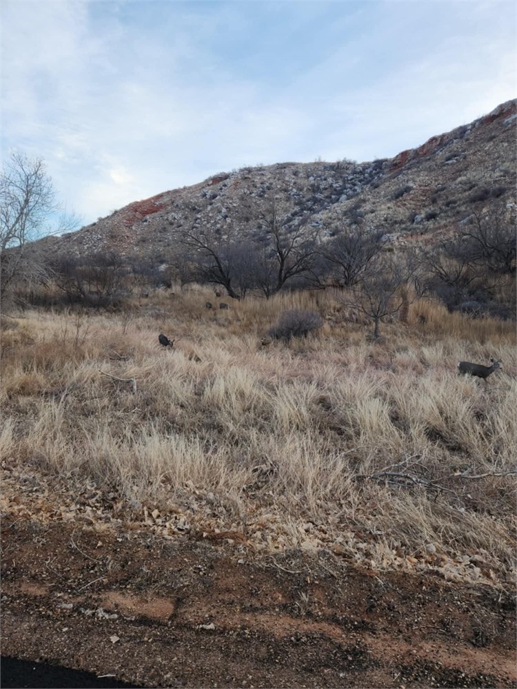 WildLife Buyer, LLC. - *Reduced Price! Texas Panhandle Waterfowl/Upland ...