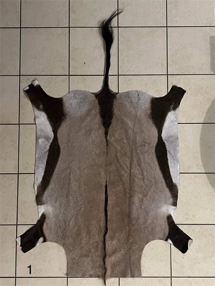 WildLife Buyer, LLC. - Gemsbok Hides professionally tanned