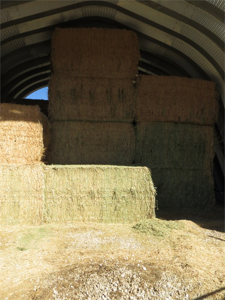 WildLife Buyer, LLC. - ALFALFA BIG SQUARE BALES