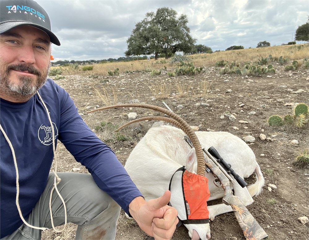 WildLife Buyer, LLC. - 1.0 Albino Oryx 42”+