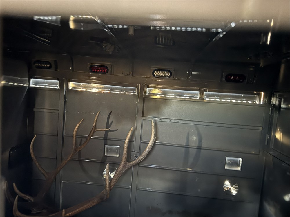 WildLife Buyer, LLC. - 歷 Trophy Elk Bull Son of a 540 Bull 歷