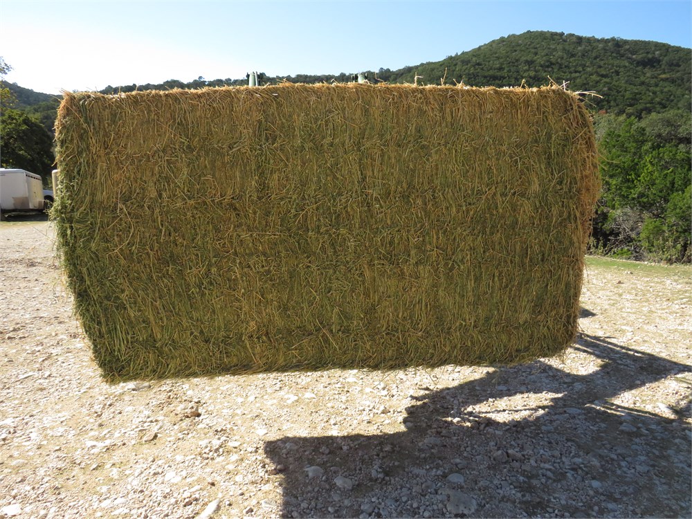 WildLife Buyer, LLC. - ALFALFA BIG SQUARE BALES