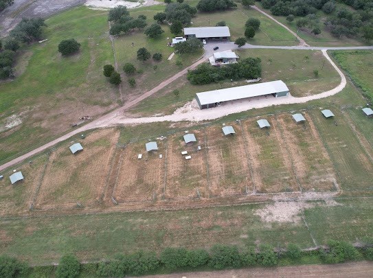 WildLife Buyer, LLC. - deer pens