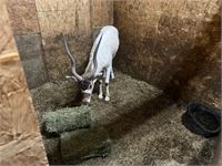 WildLife Buyer, LLC.