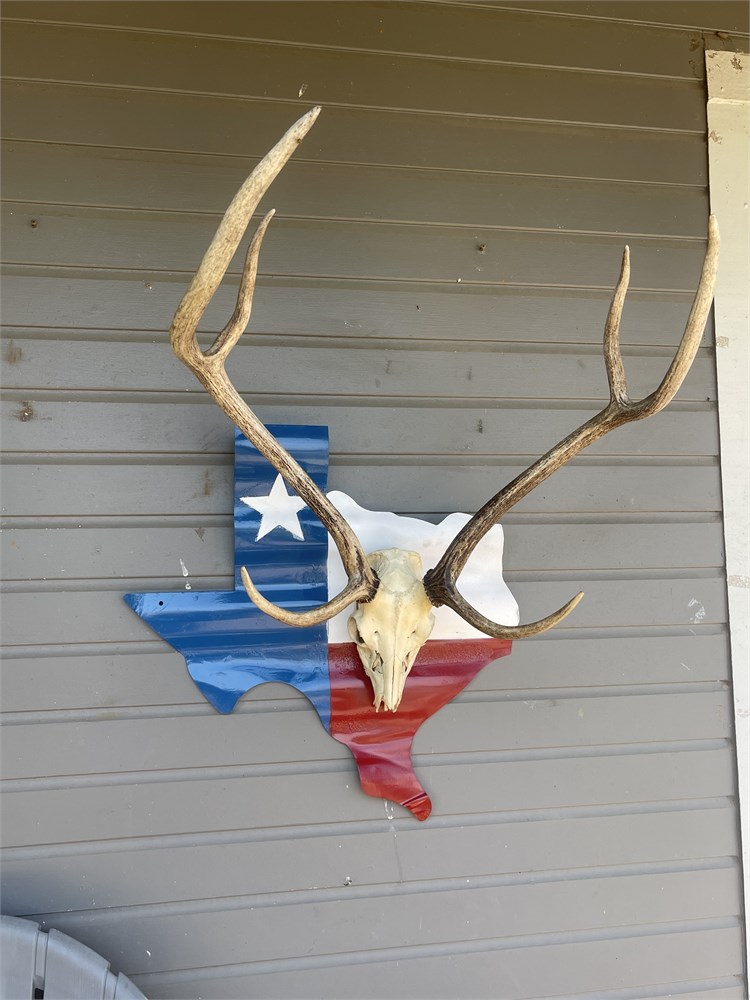 WildLife Buyer, LLC. - Axis Skull Mount Texas Flag
