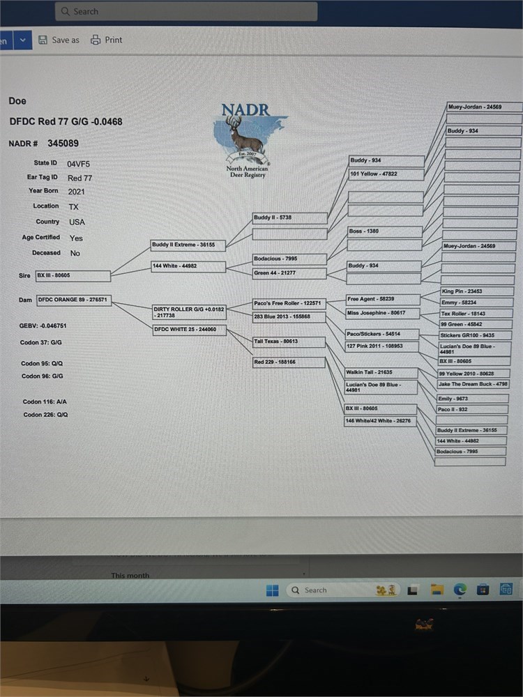 WildLife Buyer, LLC. - 2 Superior Genetics White Tail Doe Fawns Group ...