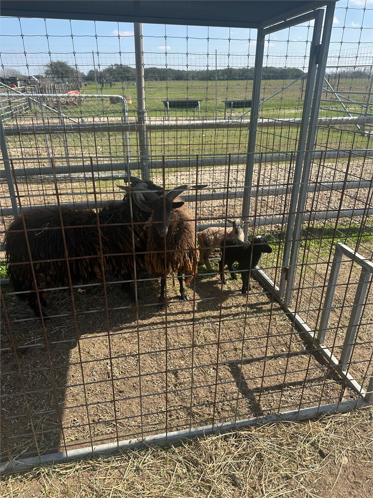 WildLife Buyer, LLC. - 1.1.2 RACKAS