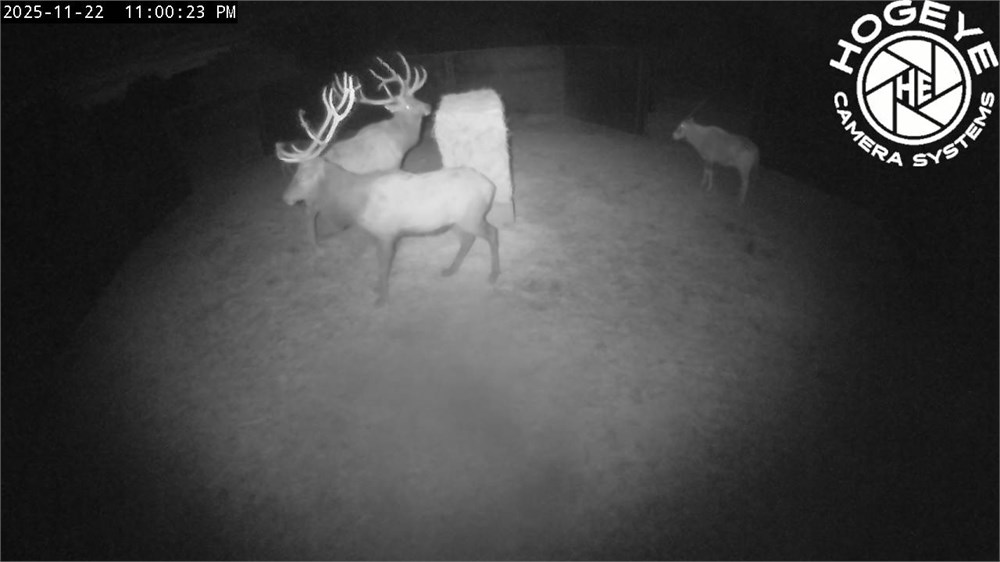 WildLife Buyer, LLC. - HogEye Trap Camera Systems – AT&T Model